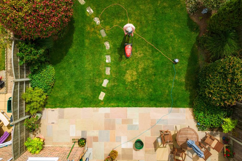 Lawns will have luscious and green grass in summer with 1 simple task ...