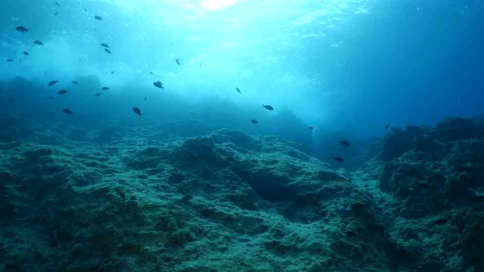 This sound came from 1,000+ meters deep in the ocean – something isn’t ...