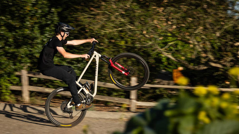 Stinner Romero: Boutique steel full suspension mountain bike, made in ...