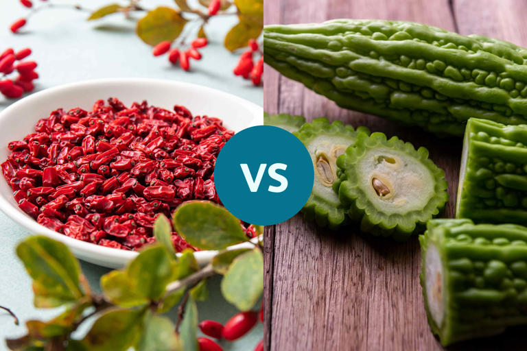 Berberine vs. bitter melon: Which is better for blood sugar?