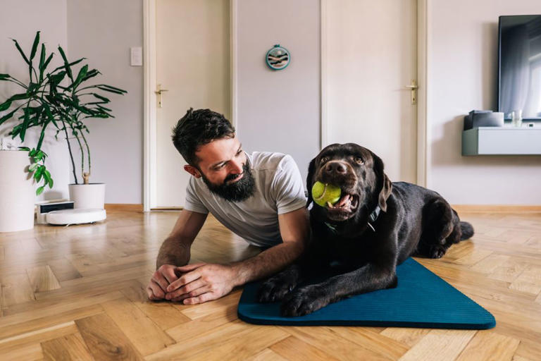 Dog can 'read humans like a book' – groundbreaking study reveals hidden ...
