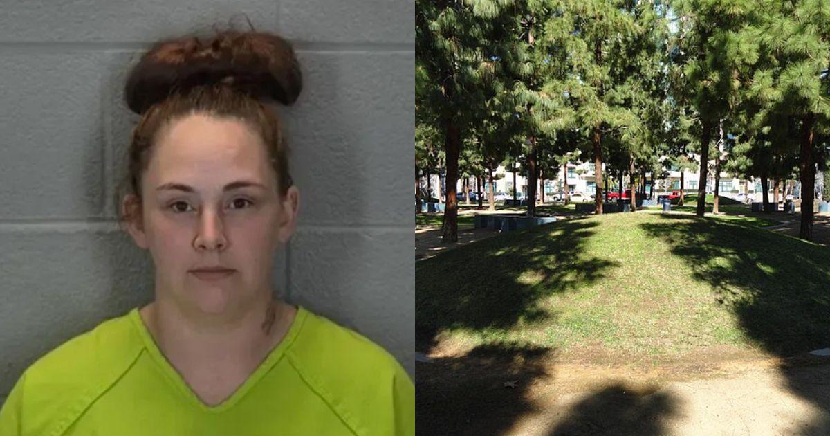 Indiana woman pulls gun on children and threatens to blow up park, now ...
