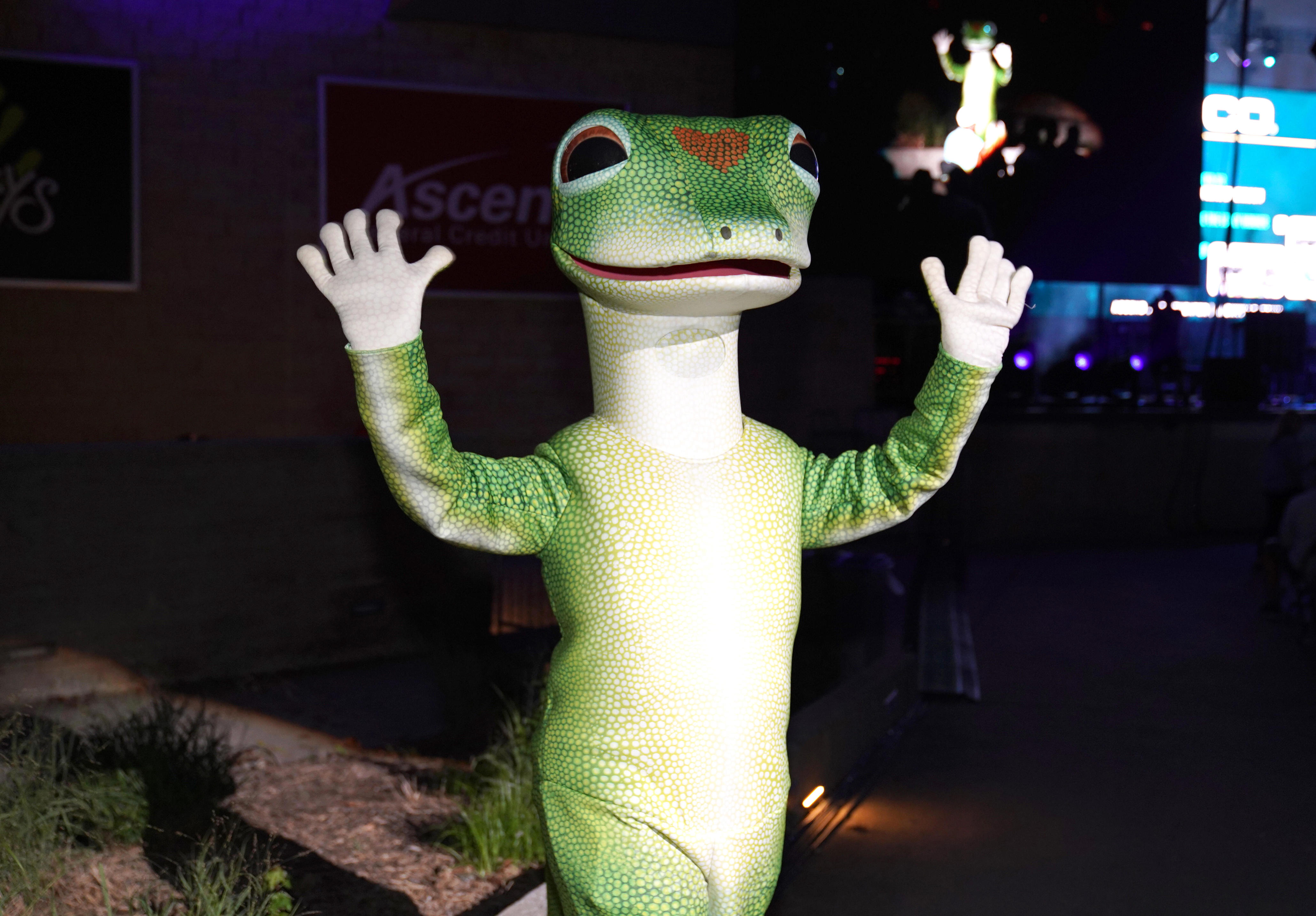 Some Florida driver's licenses wrongly suspended after Geico glitch