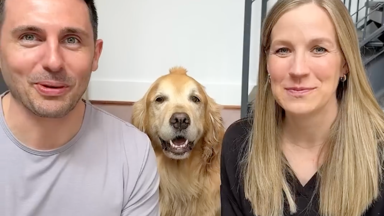 Who do my dogs love more, mom or dad?