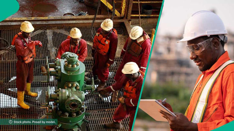 Find out more as Shell announces 2026 graduate programme, awaits ...