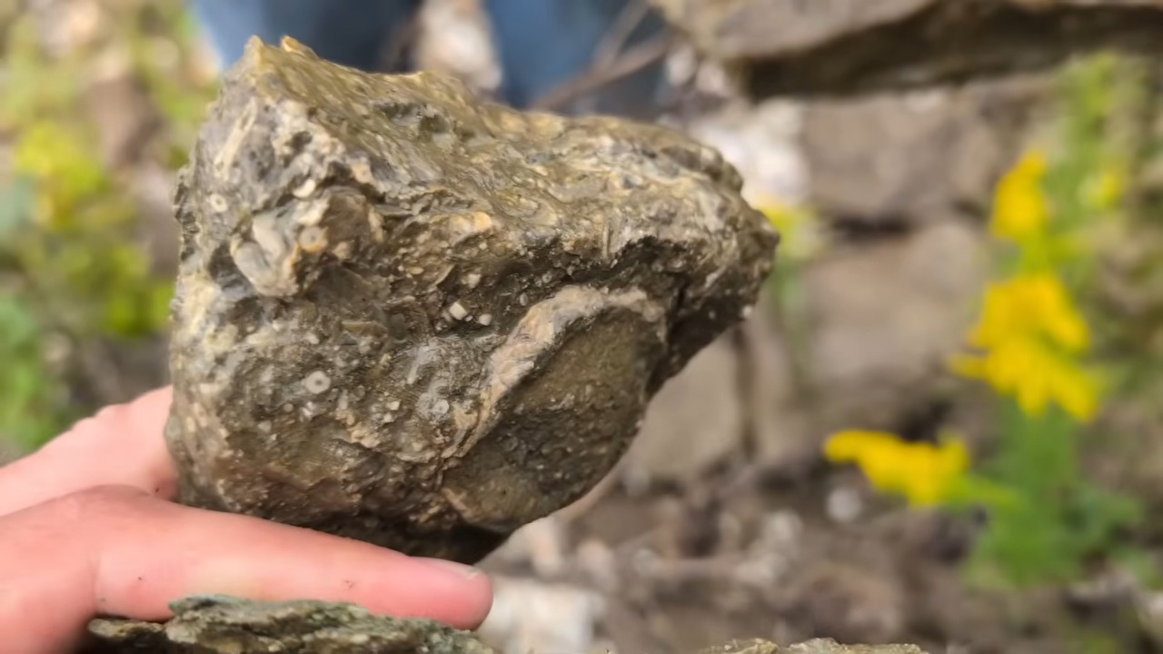 Lake Huron dropped so low, they started finding 390-million-year-old ...