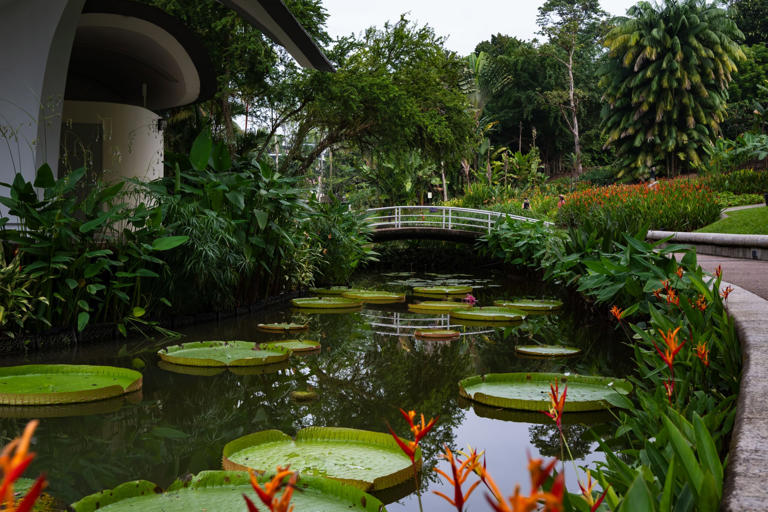 These are the 10 greenest cities in the world—ideal if you’re looking ...