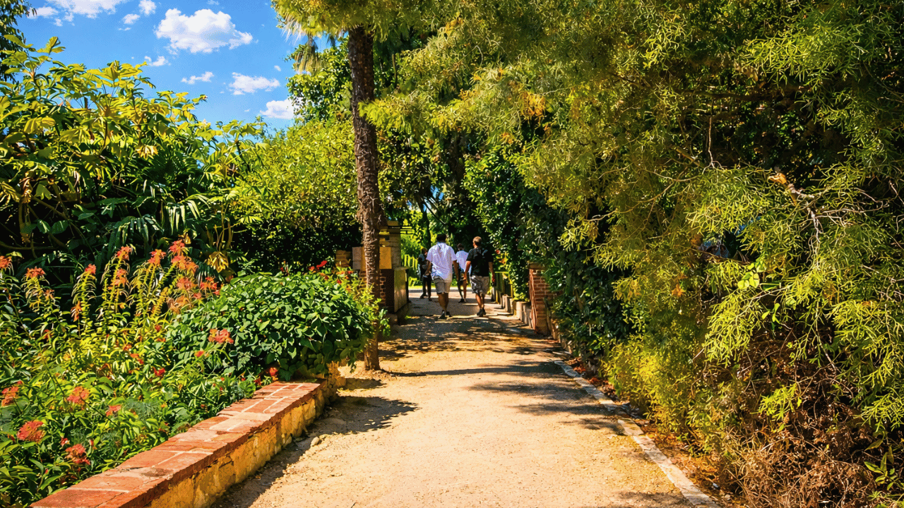 A scenic walk in Marimurtra Garden Blanes (4K)