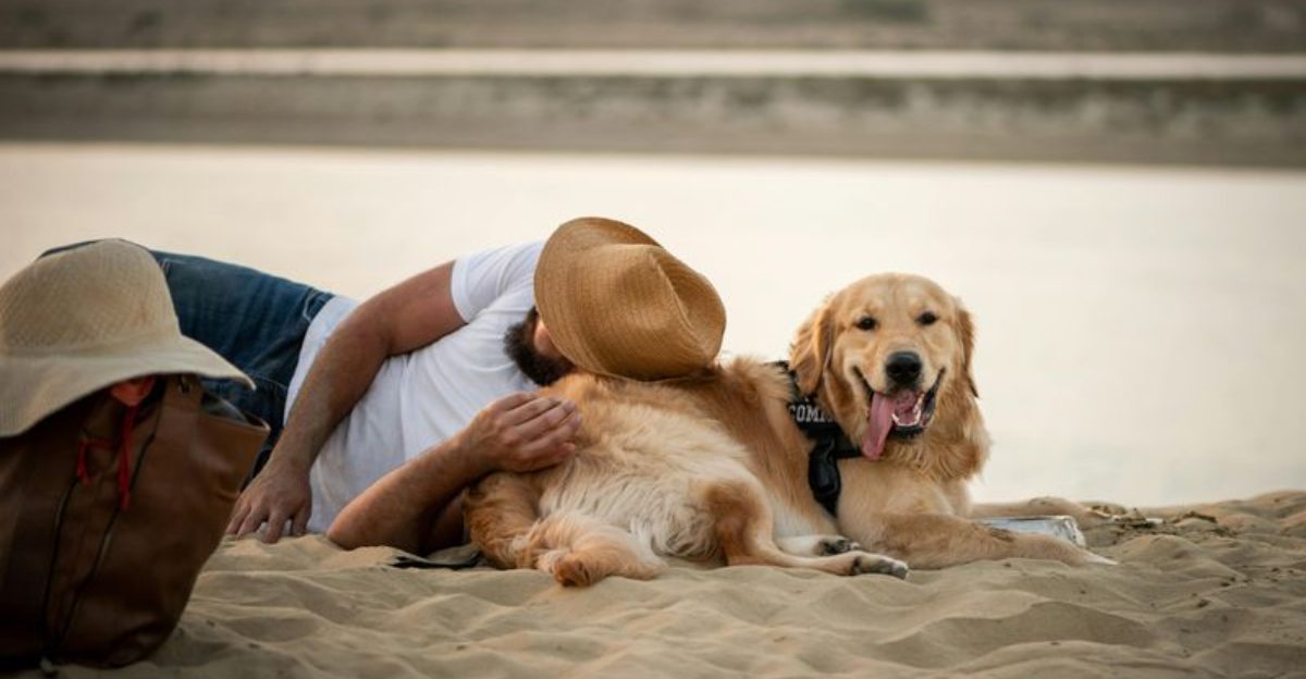 If your dog sleeps glued to you, it might be one of these 13 breeds