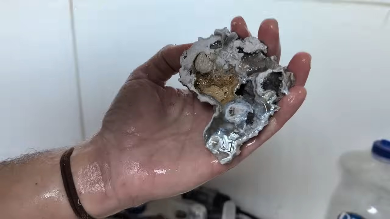 They cut open an ordinary Florida rock - then the hidden agate inside ...