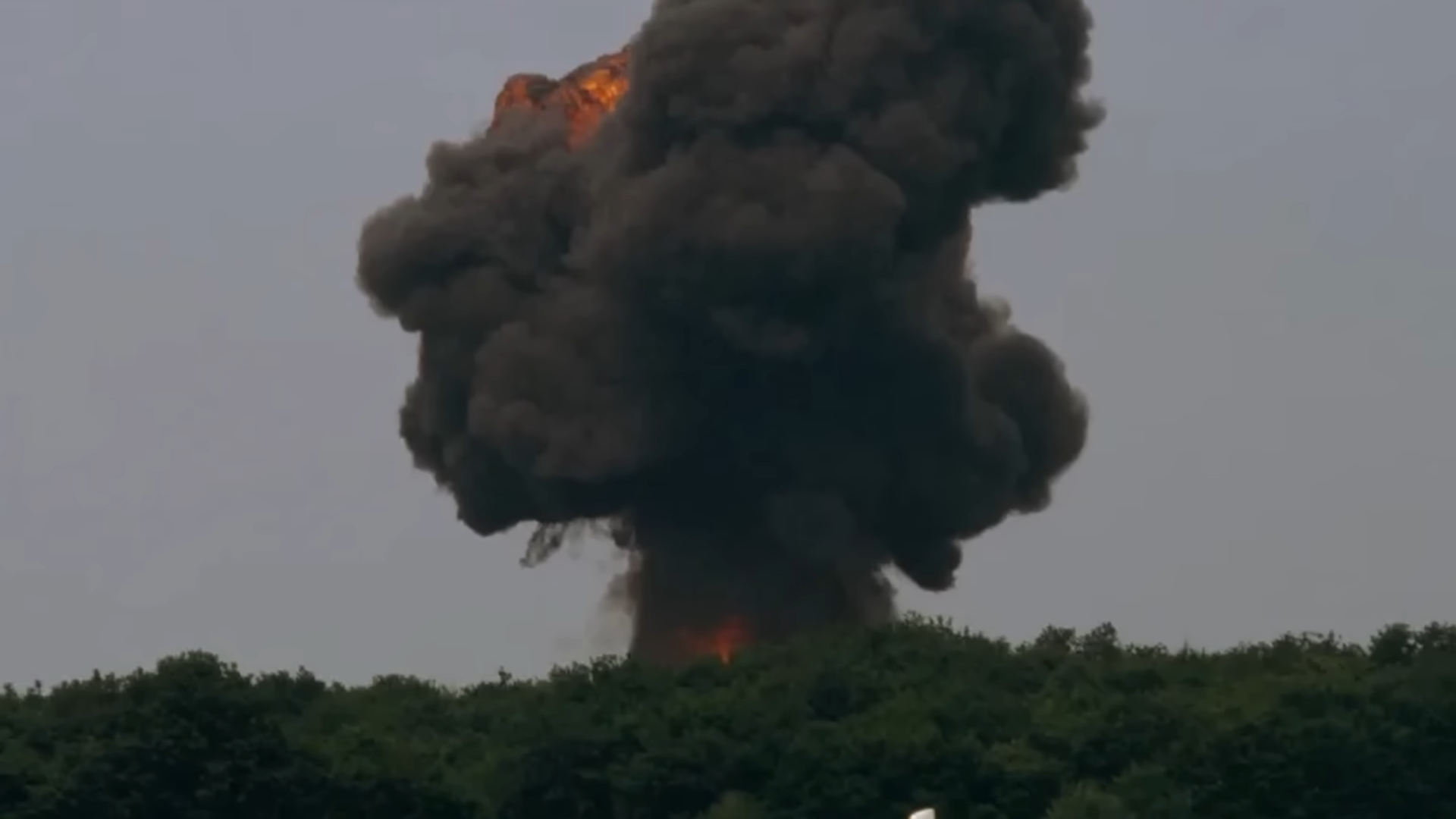 They came to watch a new plane fly - then it flew into the trees