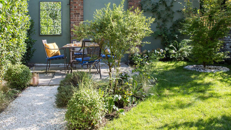 The biggest reason why your grass seed isn't growing – and the easiest ...