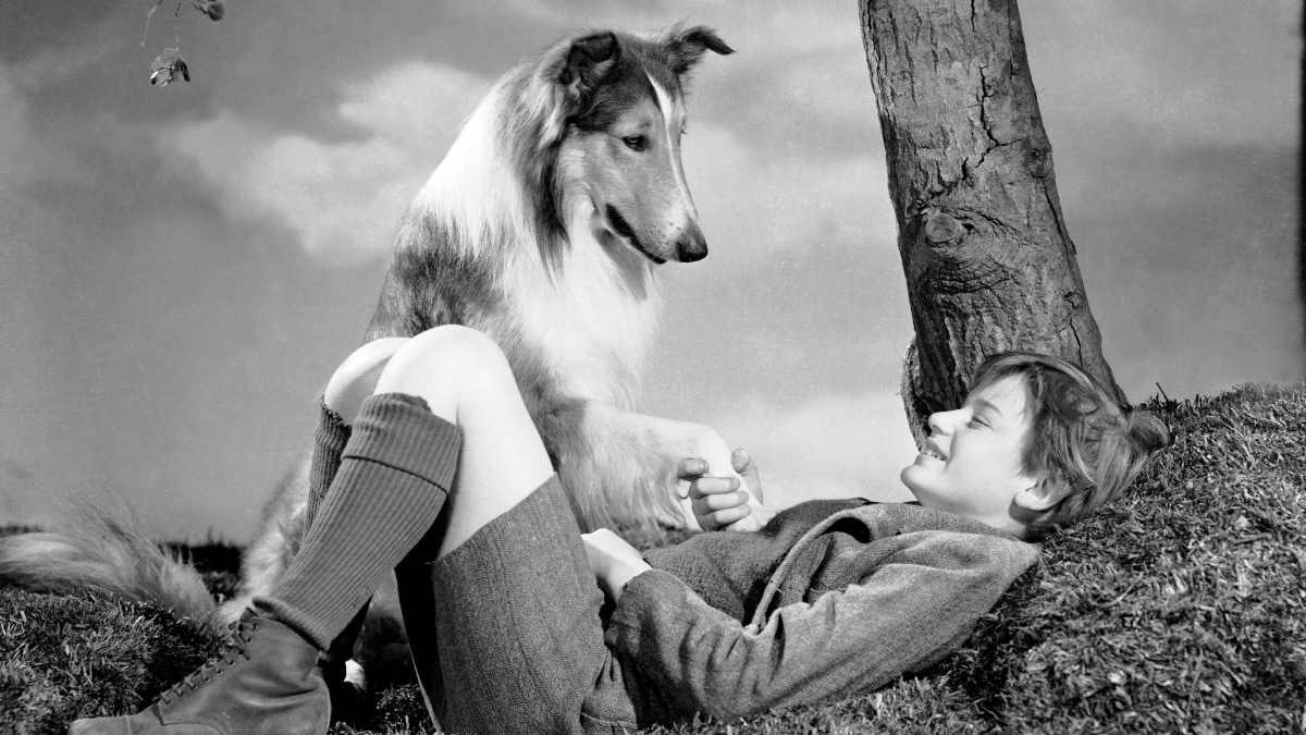 15 classic TV shows with dark secrets nobody talked about at the time