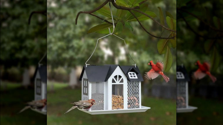 Walmart has a highly-rated metal bird feeder that looks like a farmhouse
