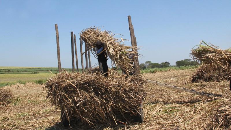 Vision Group takes steps to secure Tongaat Hulett assets amidst ...