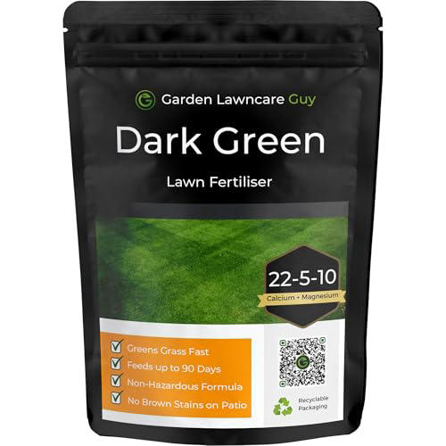 The biggest reason why your grass seed isn't growing – and the easiest ...