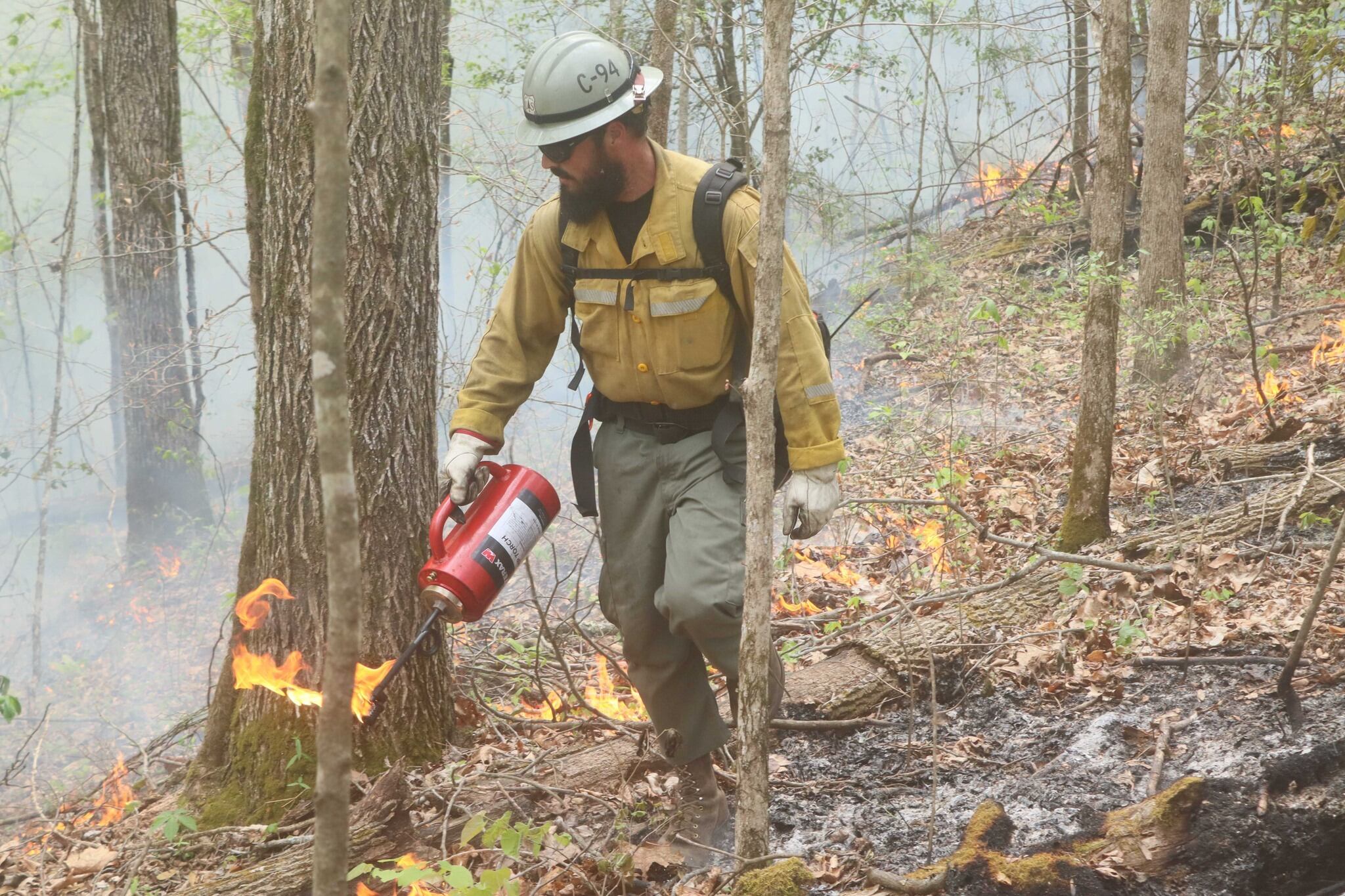 Daniel Boone National Forest announces fire restrictions