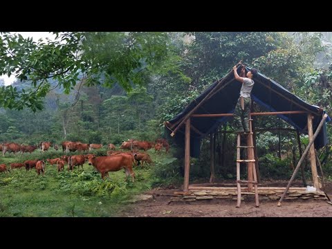 Building a roof in the forest
