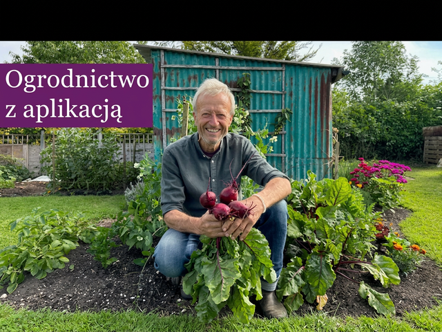 Planowanie z Fryd – jak znaleźć swoją ogrodniczą ekipę