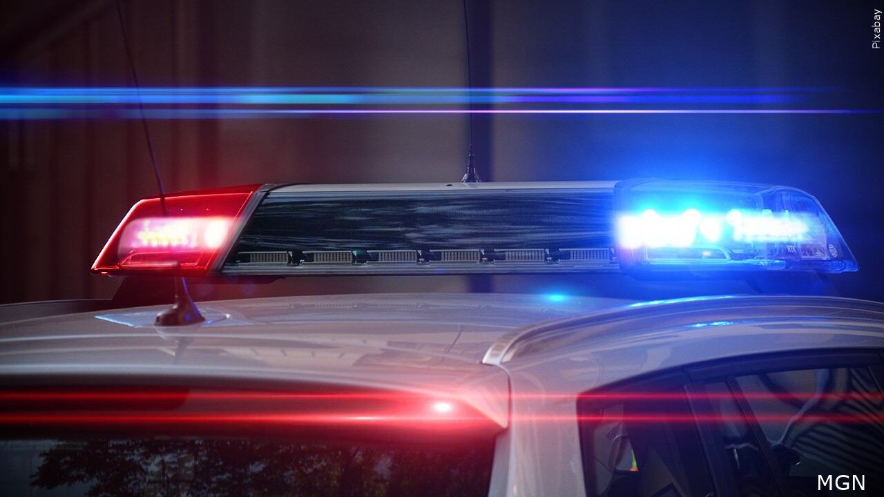 Trailer, kennels stolen from San Luis Valley animal shelter