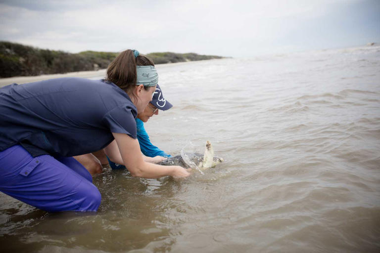 Georgia just made history with the state's largest-ever release of ...