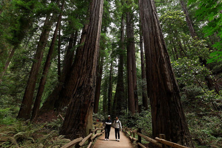 A walk in the outdoors in nature fights loneliness