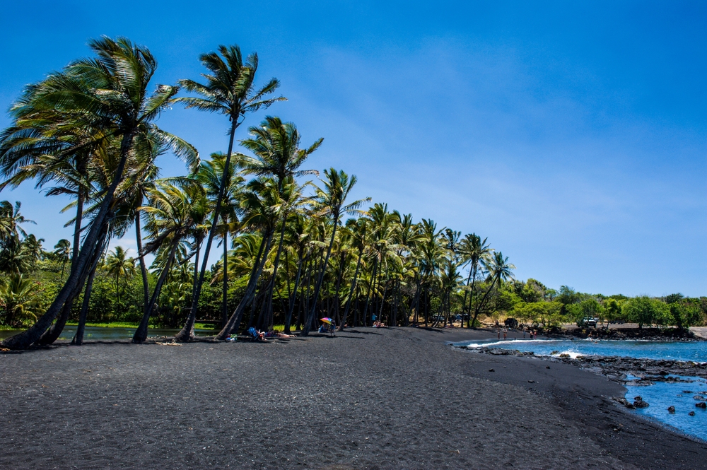 On Hawaii’s south coast, a jet-black beach comes with sea turtles and ...