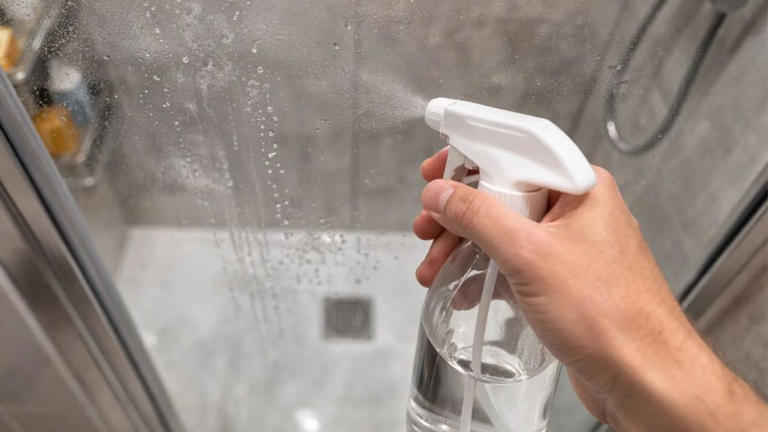 El truco de rociar vinagre en la ducha: por qué recomiendan hacerlo y ...