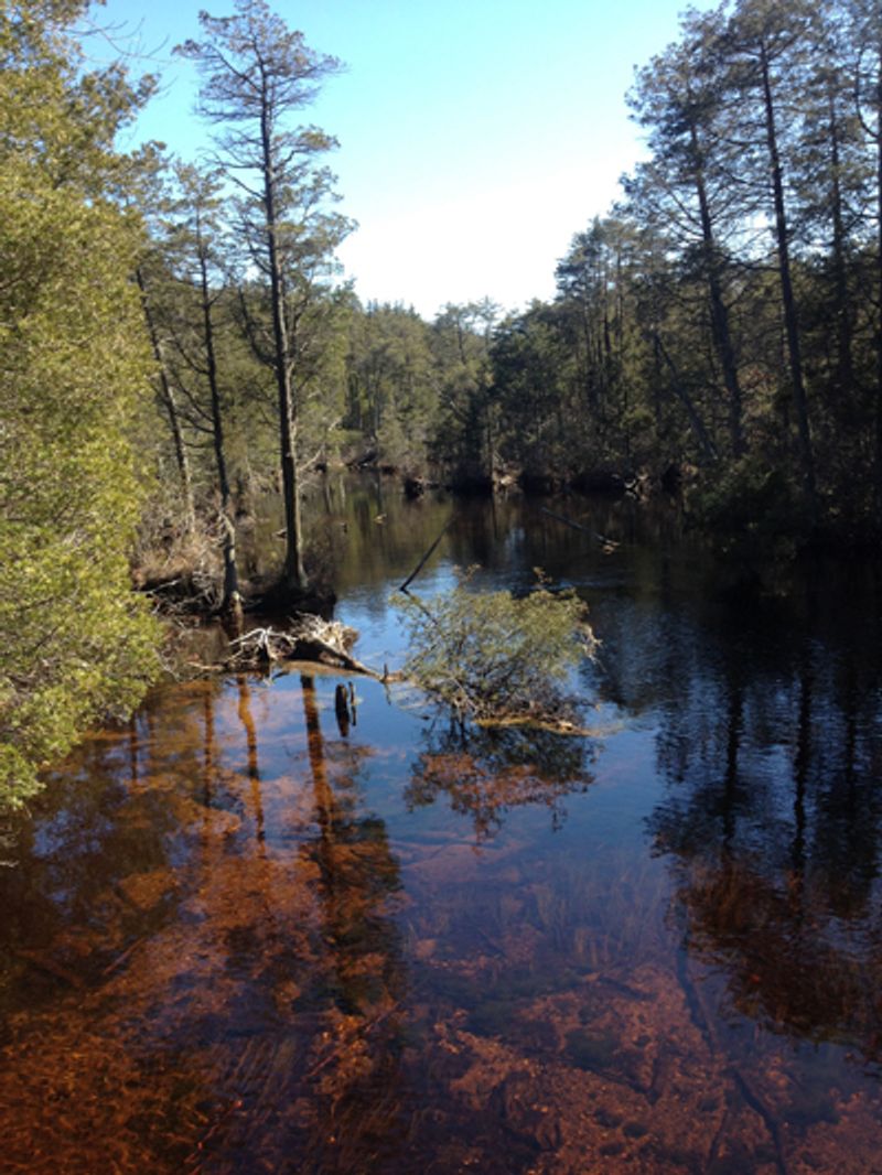 This 130-mile drive through New Jersey is a scenic journey from ancient ...