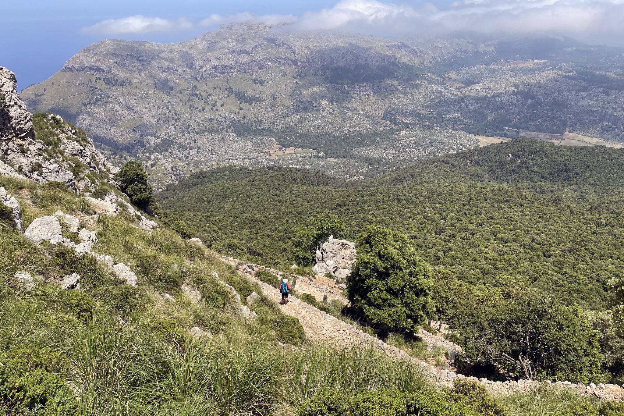 Deutscher Tuv Auf Mallorca
