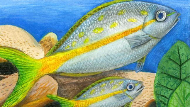Central Texas youth stand out in 2026 Texas Fish Art Contest