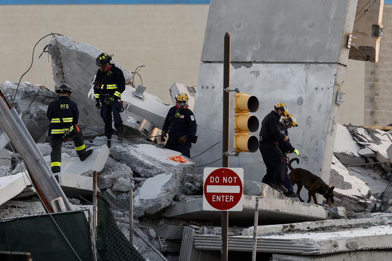 A City Council special committee will investigate the deadly South ...