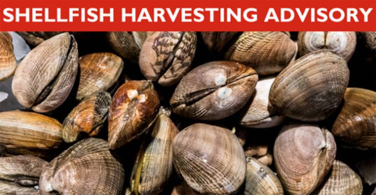 Shellfish harvesting closed around Kitsap waterways