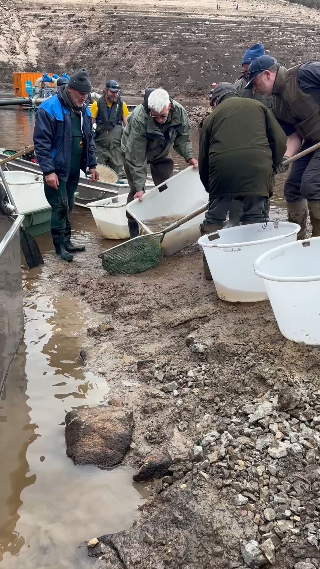 Schwarzenbachtalsperre fast leer: Angler retten tonnenweise Fische