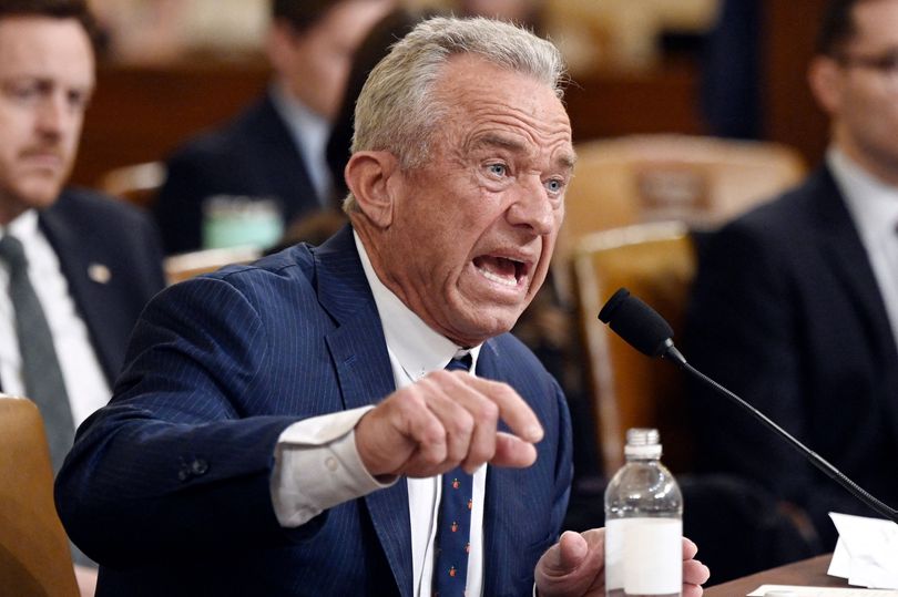 Yelling RFK Jr exposed as a liar after making insulting 'black kids ...