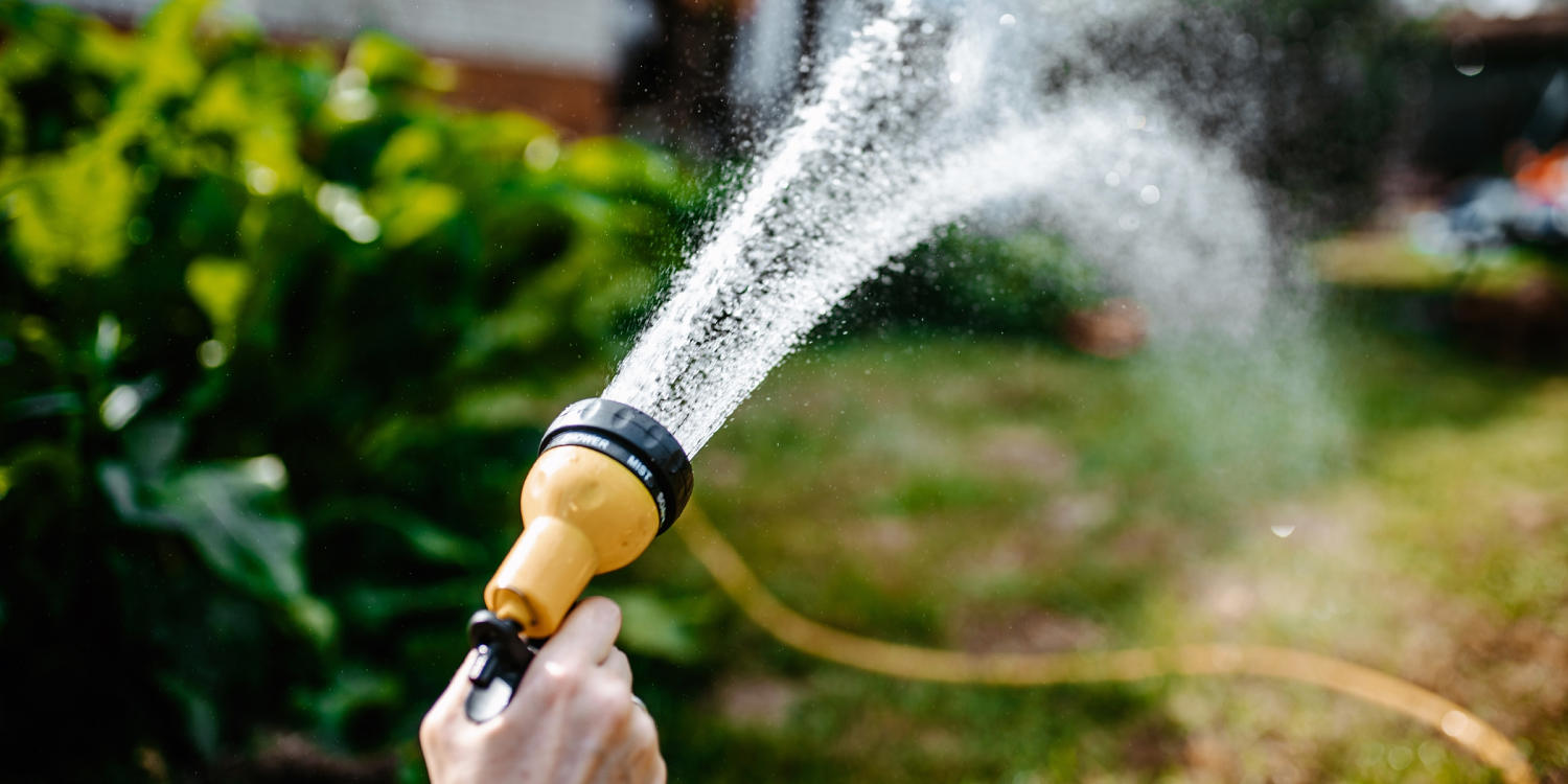 The best garden hoses for your outdoor space
