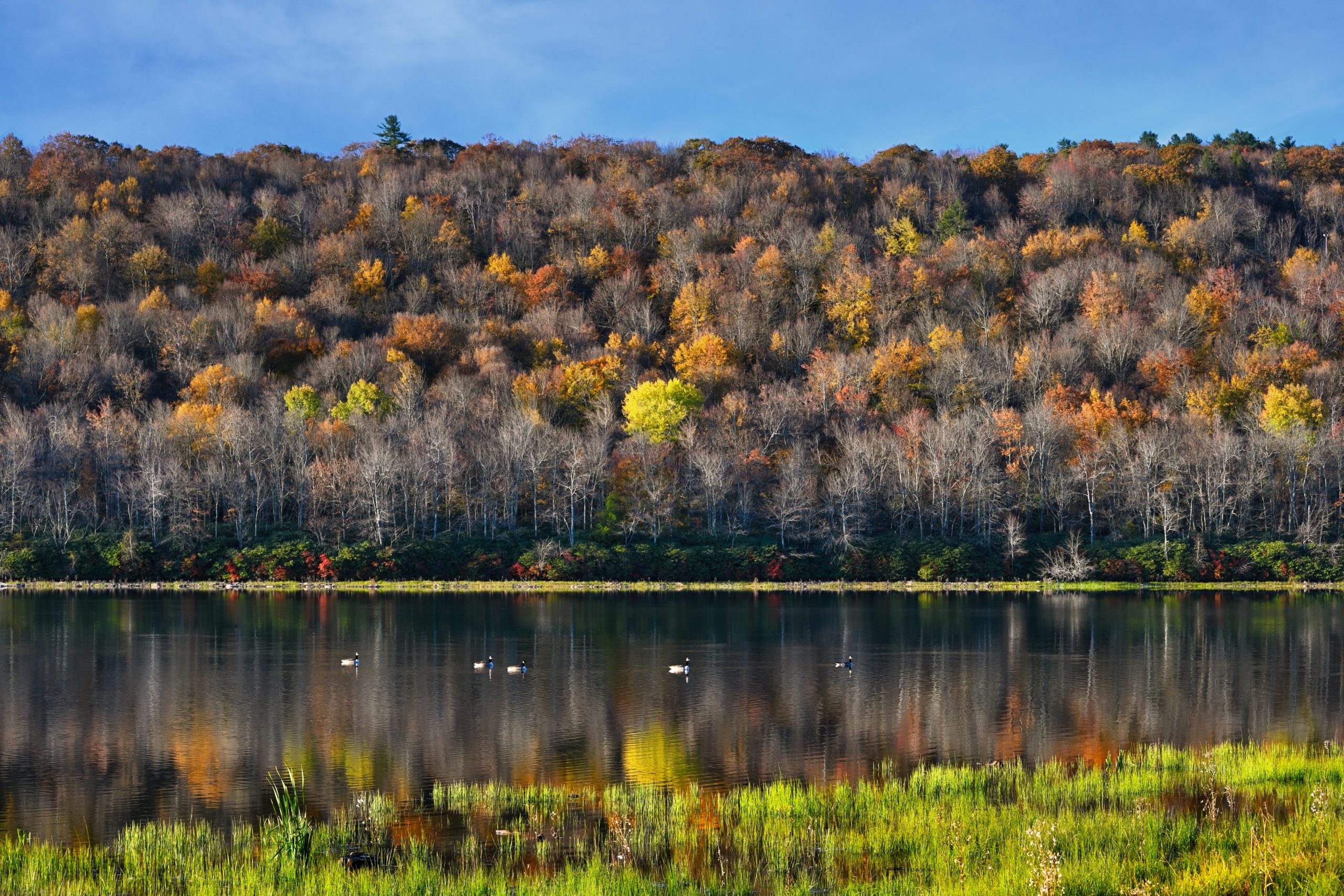 Reasons why the Poconos are the ultimate discovery
