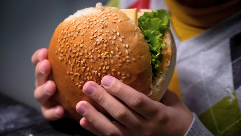 My MIL tried sneaking my vegan son a meat burger by calling it 'beef ...