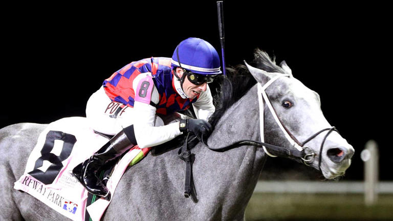 Great White tentatively targets Pat Day Mile, Ennis watching Kentucky ...