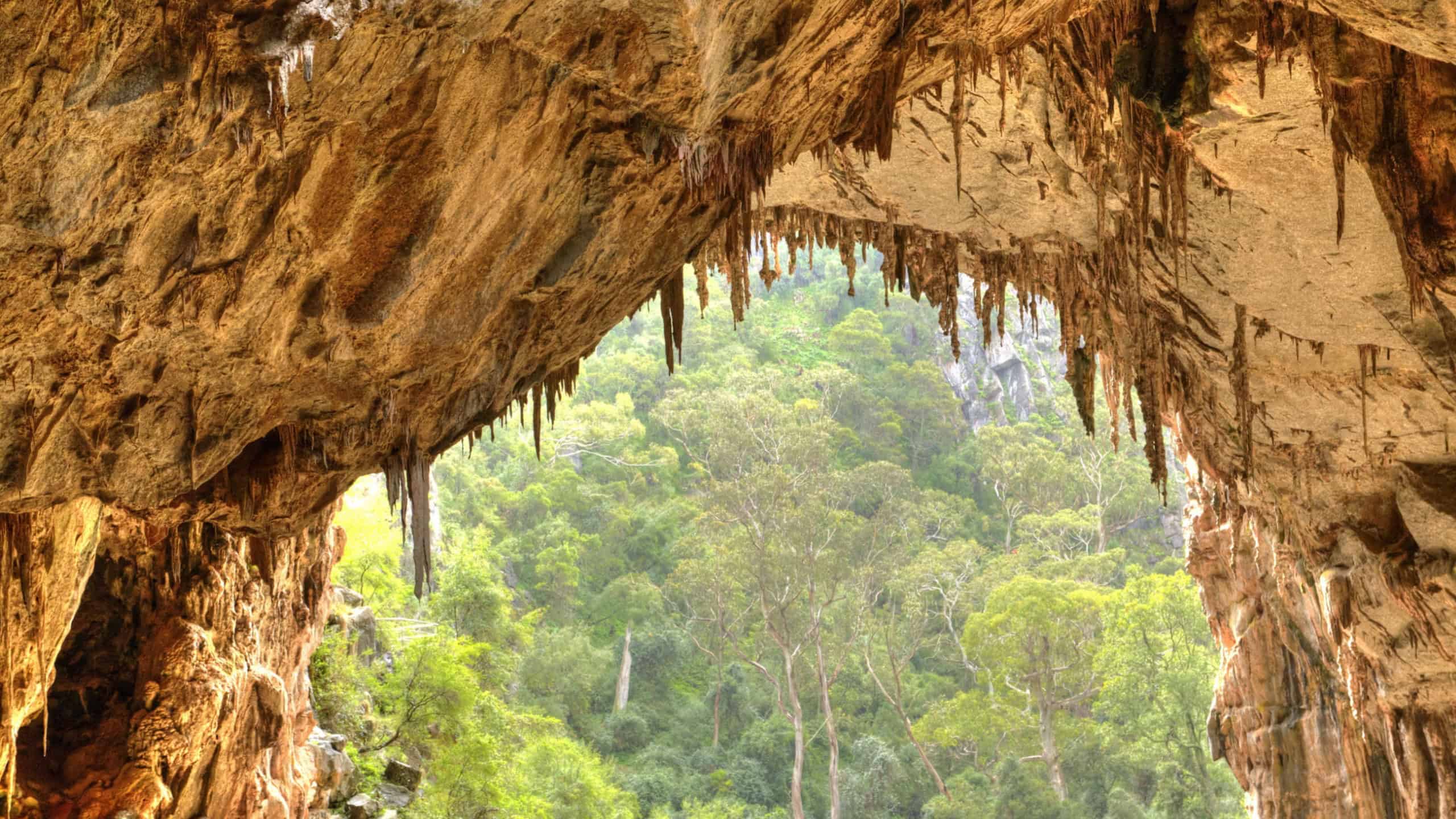 20 of the oldest things on Earth
