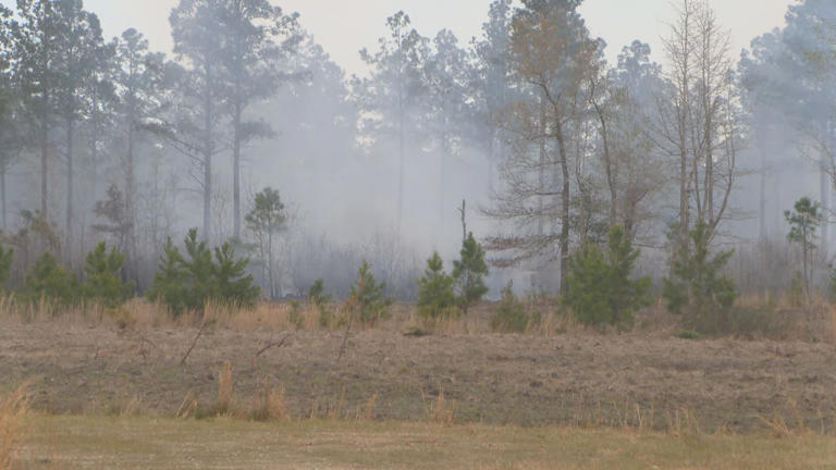 SC leaders lift burn ban, even though drought worsens