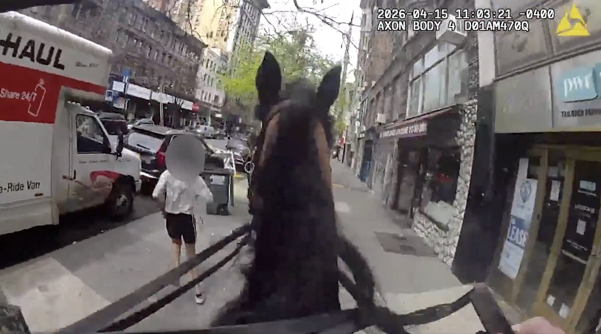 Watch: Wild video shows NYPD officer on horseback chasing down purse ...