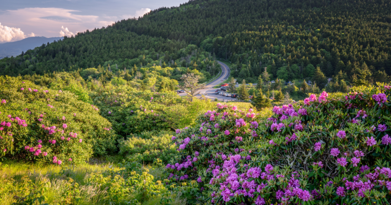 5 stunning spring hikes in North Carolina you'll want to try