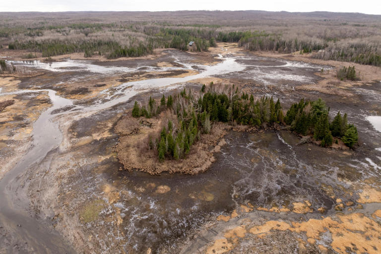 Northern Michigan lake drained after dam failure in Alcona County