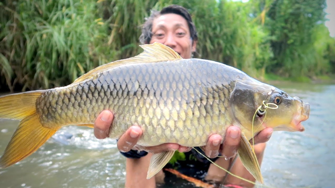 Bertahan hidup menangkap ikan dengan busur panah dan memasak ikan besar