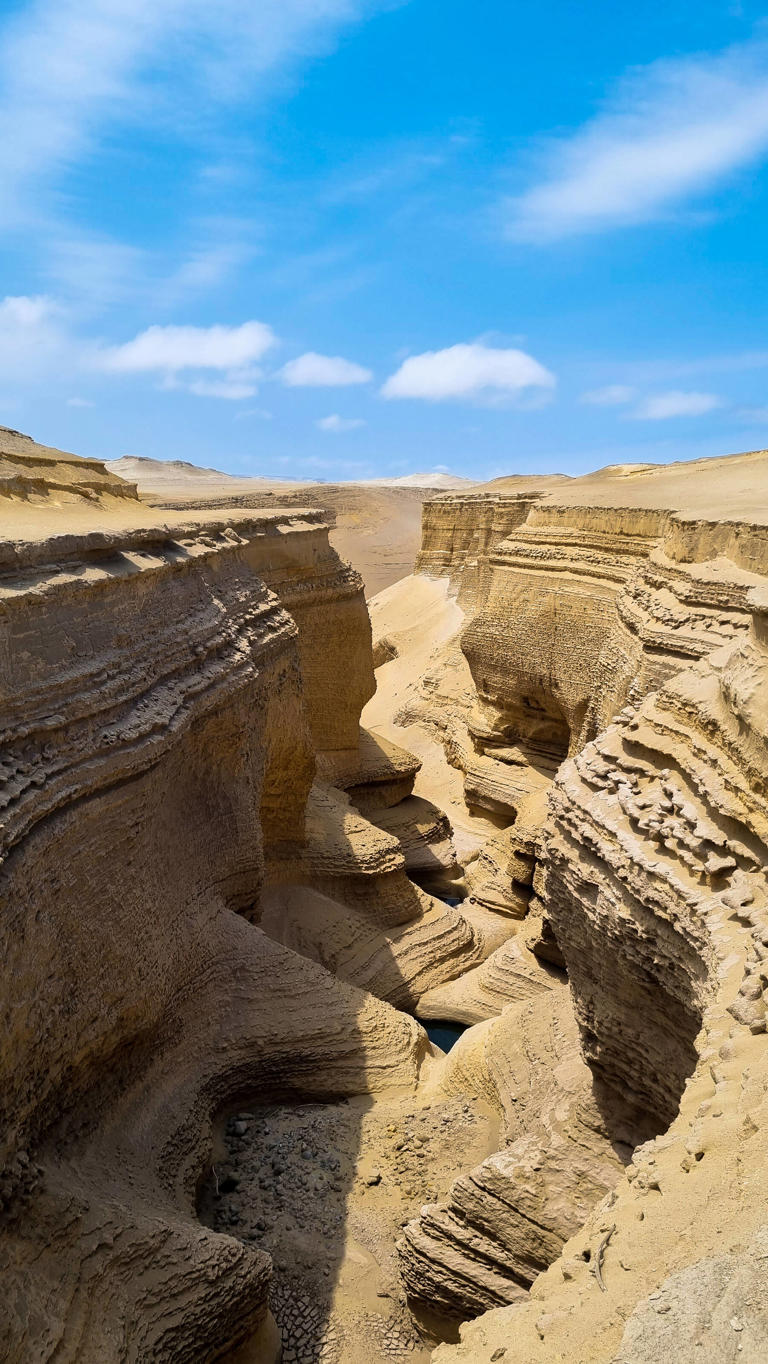 Tour guide peers into ‘Canyon of the Lost’ — and sees a dog trapped below
