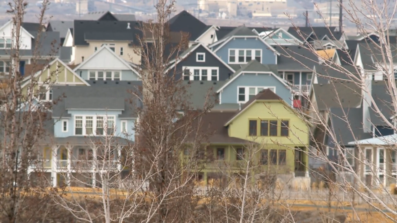 Looking to do some spring cleaning for your landscape? Here's how to ...