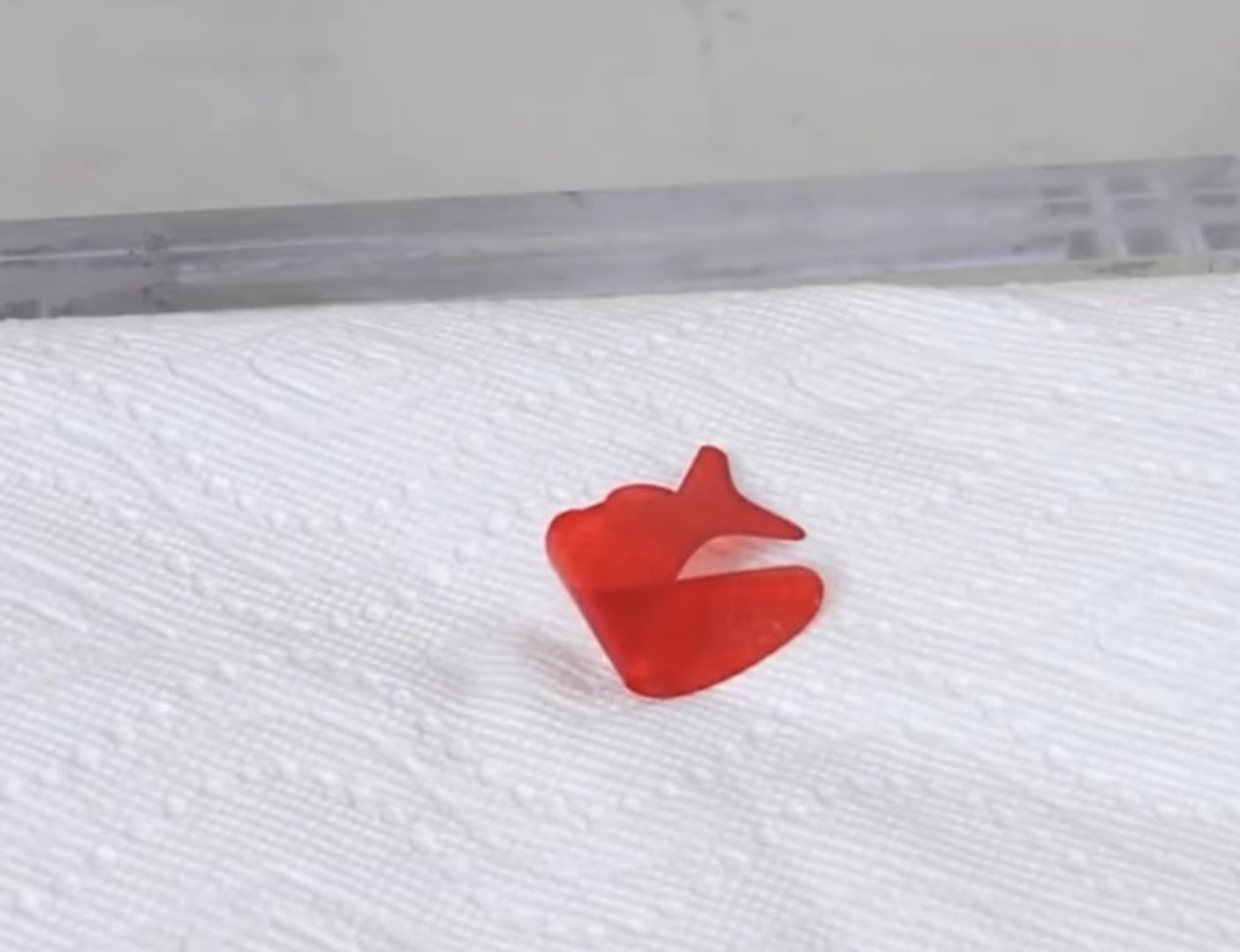 Exposing the fortune teller miracle fish!