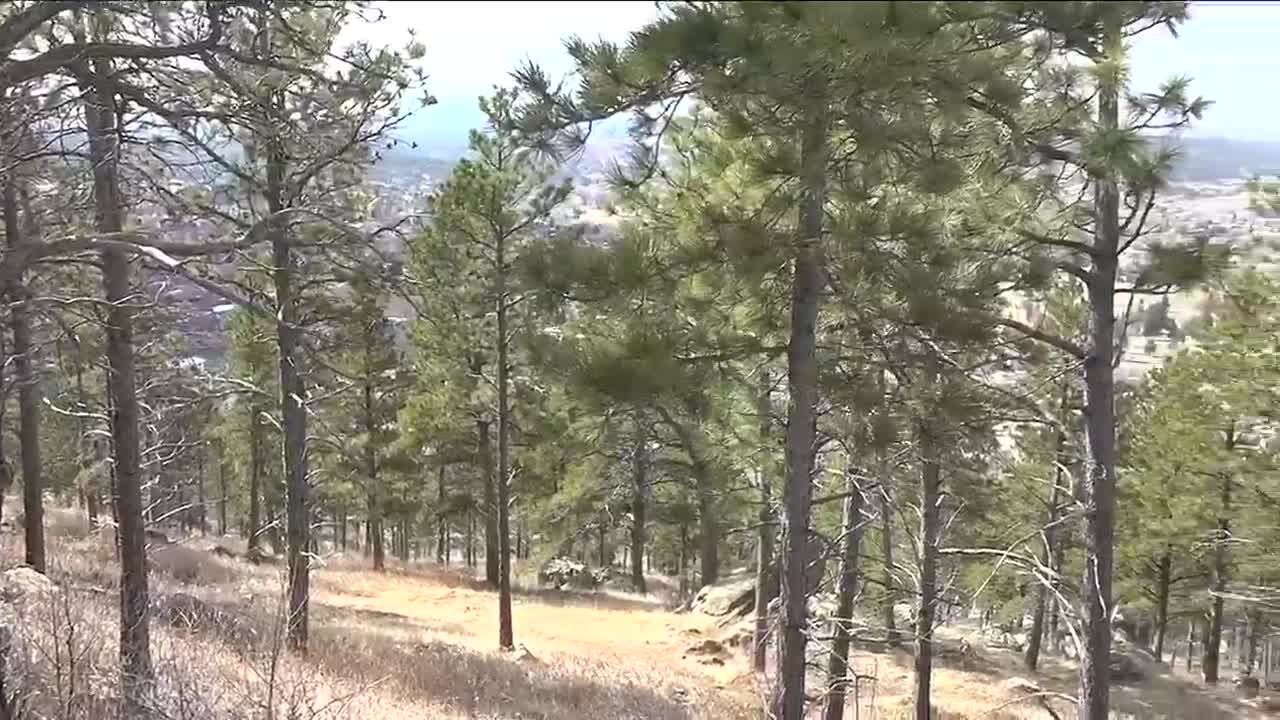 Stage 1 fire restrictions take effect in Wyoming Black Hills National ...
