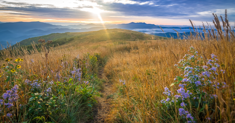 5 stunning spring hikes in North Carolina you'll want to try